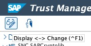 Setting Up SNC between Power Apps/Automate and SAP
